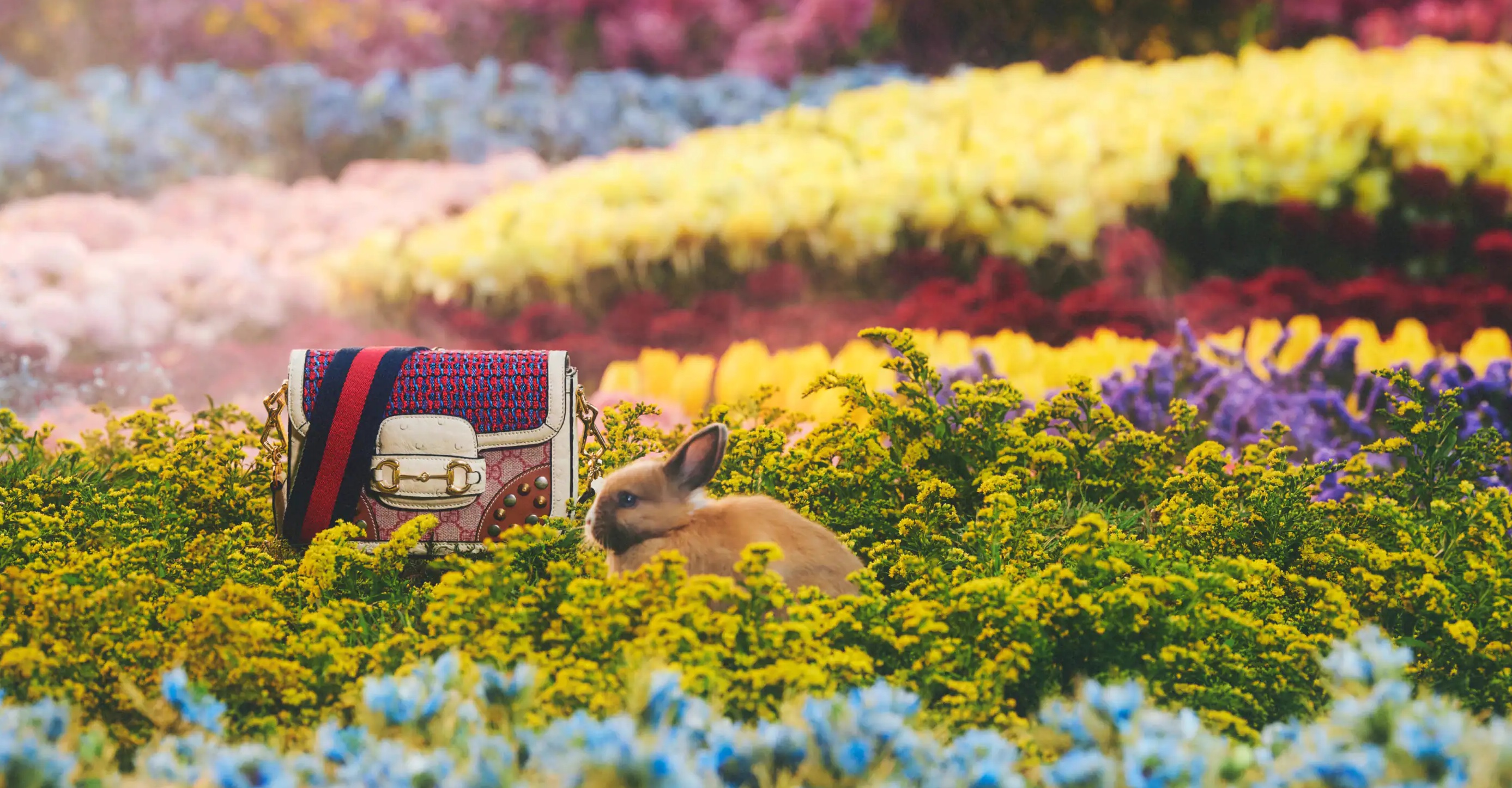 Gucci Greets the Year of the Rabbit with a Joyful Capsule Collection