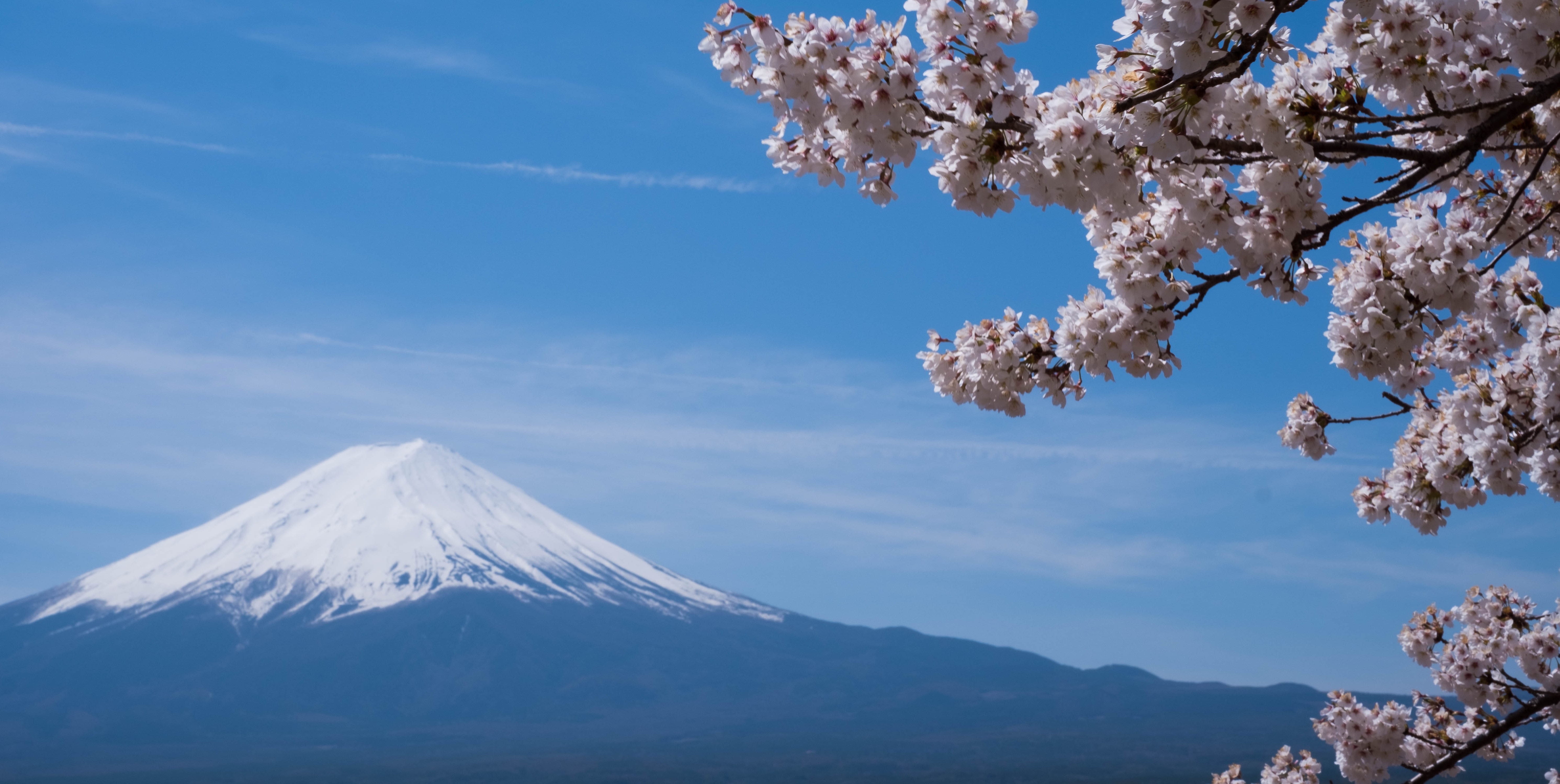 Here are Japan’s Updated Border Rules for Travellers