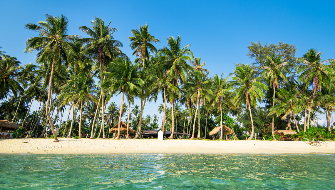 The Heart of Thailand's Coconut Culture