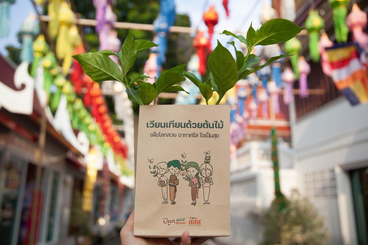 Carry Trees, Not Candles: Bangkok’s Green Makha Bucha Movement (and ...